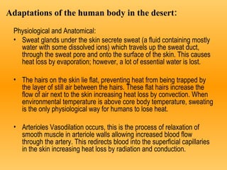 Atacama Desert | PPT