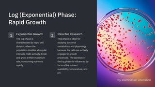 Explore the Bacterial Growth Curve: A key microbiology concept for B.Sc ...