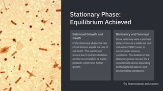 Explore the Bacterial Growth Curve: A key microbiology concept for B.Sc ...
