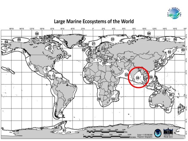 The Bay of Bengal Large Marine Ecosystem Project