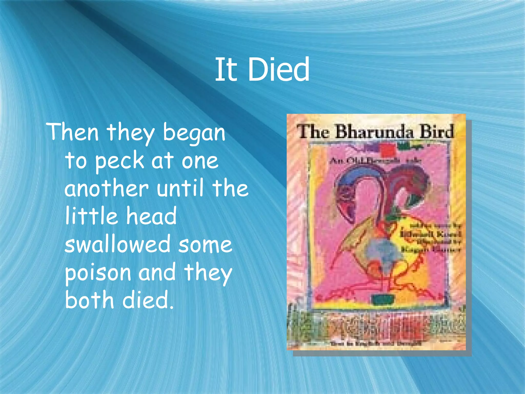 The Bharunda Bird | PPT | Birds | Pets