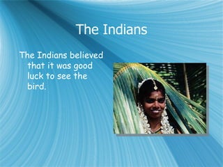 The Bharunda Bird | PPT