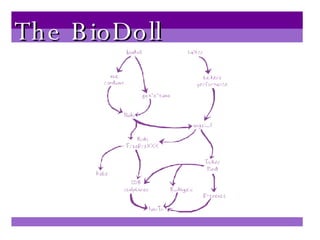 The Biodoll | PPT