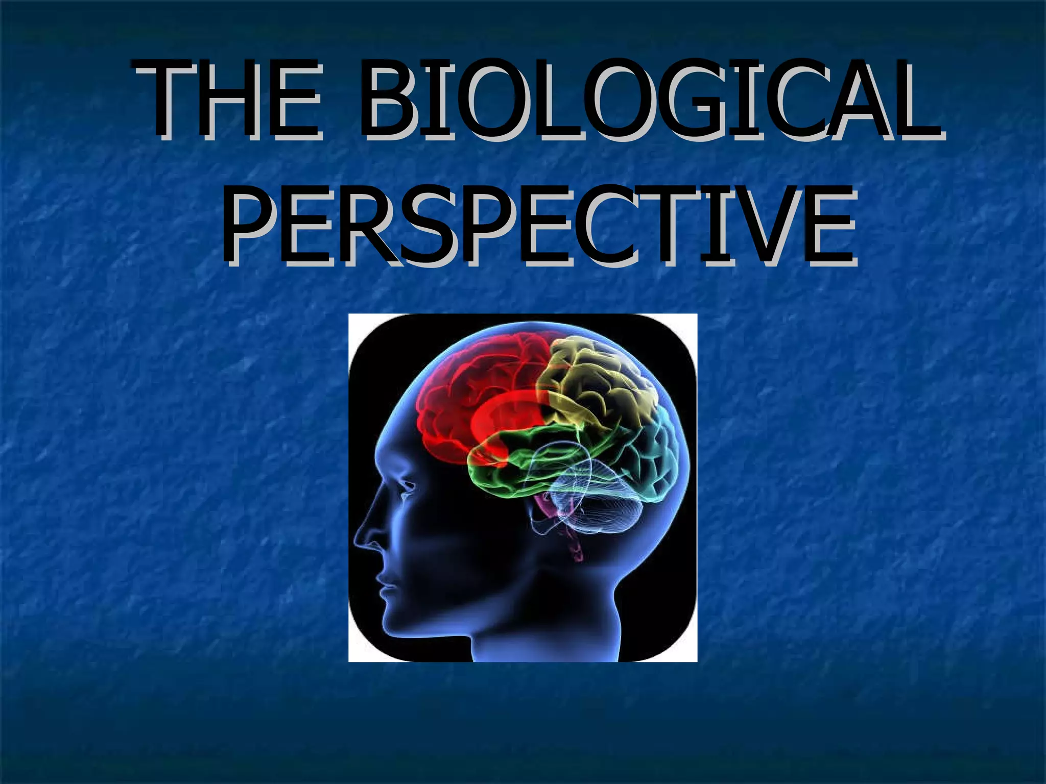 Drugan Notes- Biological Perspective | PPT
