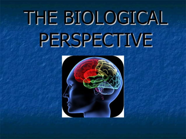 Drugan Notes- Biological Perspective | PPT