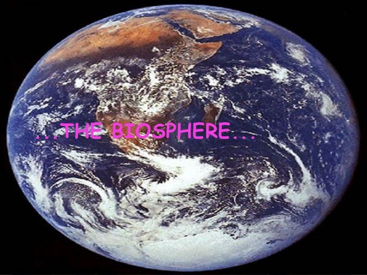 The Biosphere
