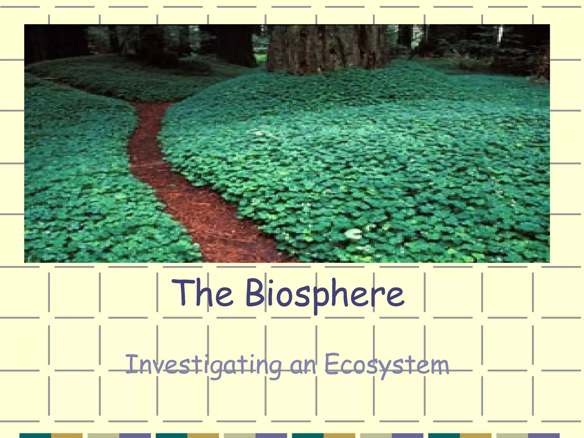 The Biosphere Extended | PPT