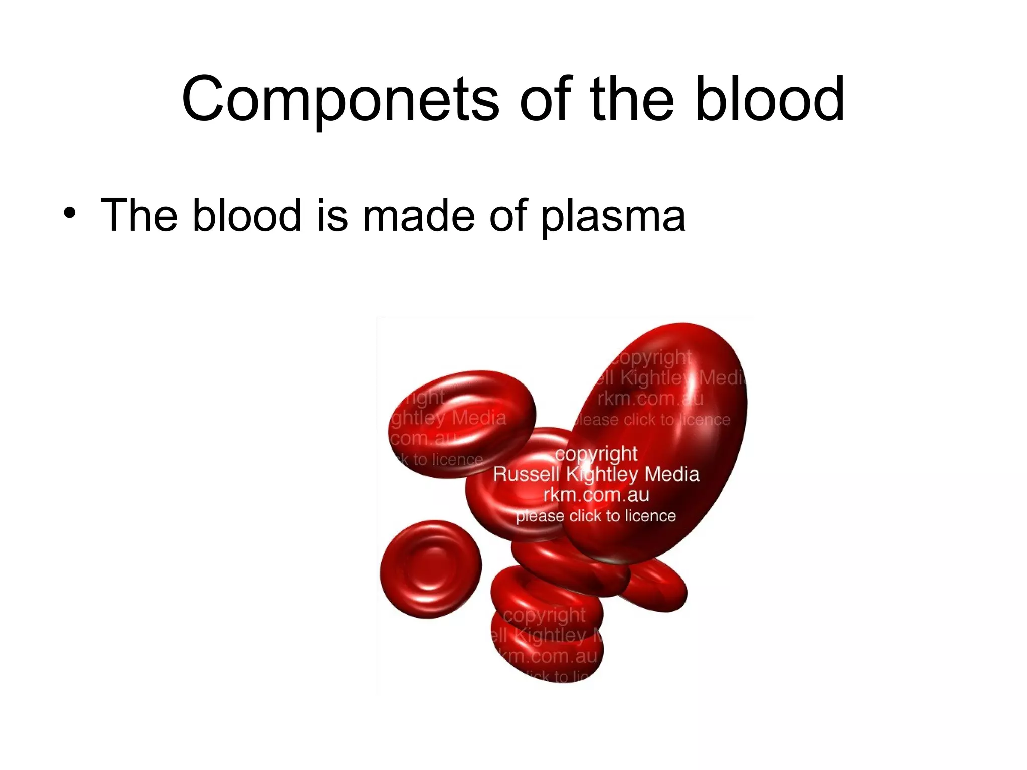 The Blood | PPT