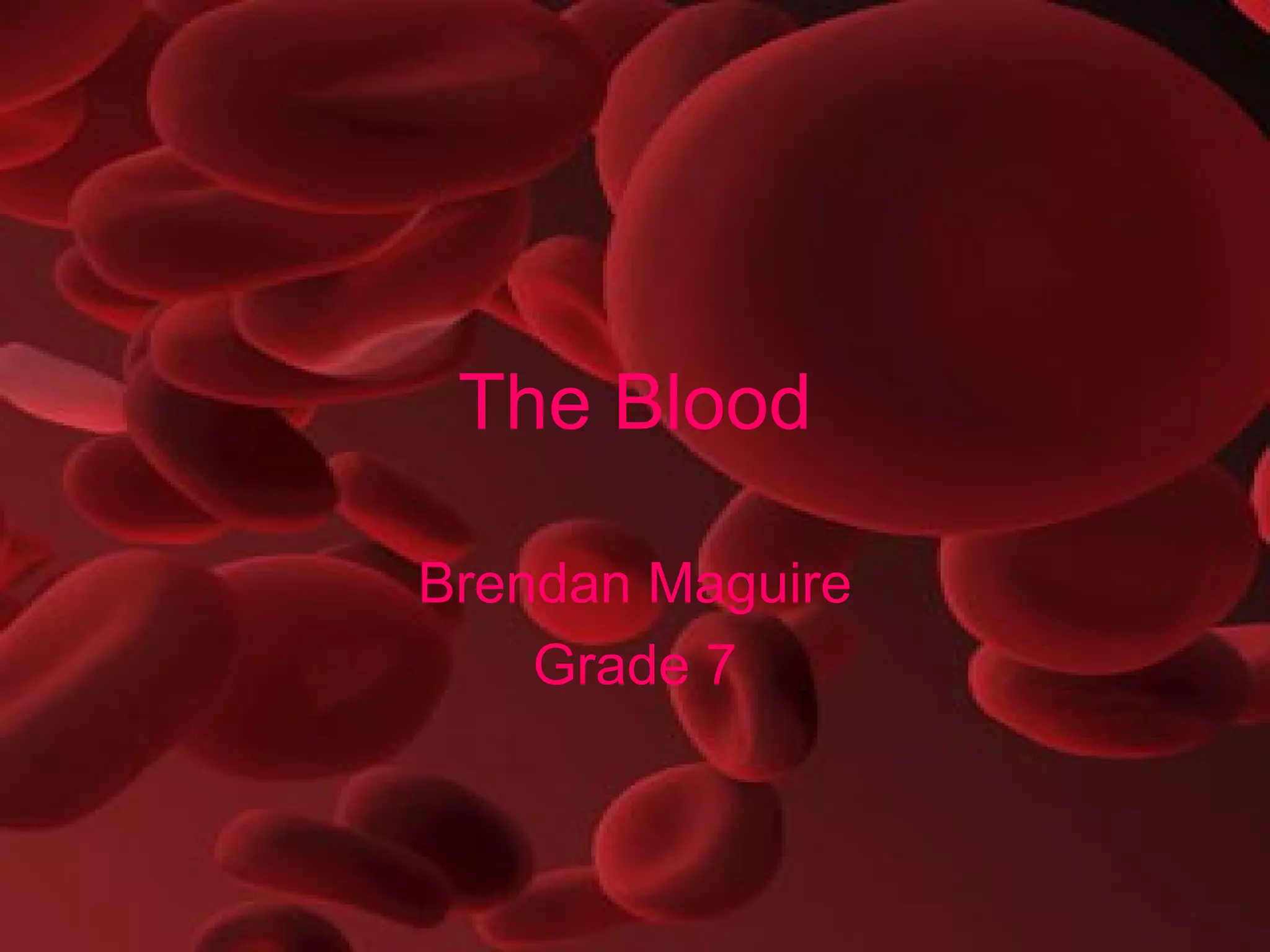The Blood | PPT