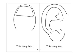 The Body Book | PDF