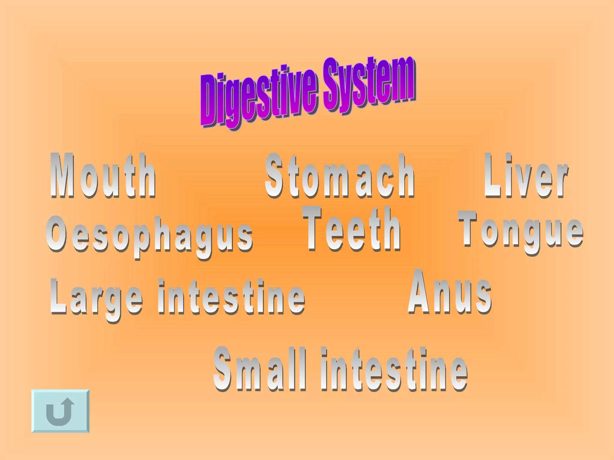 The Body Machine | PPS