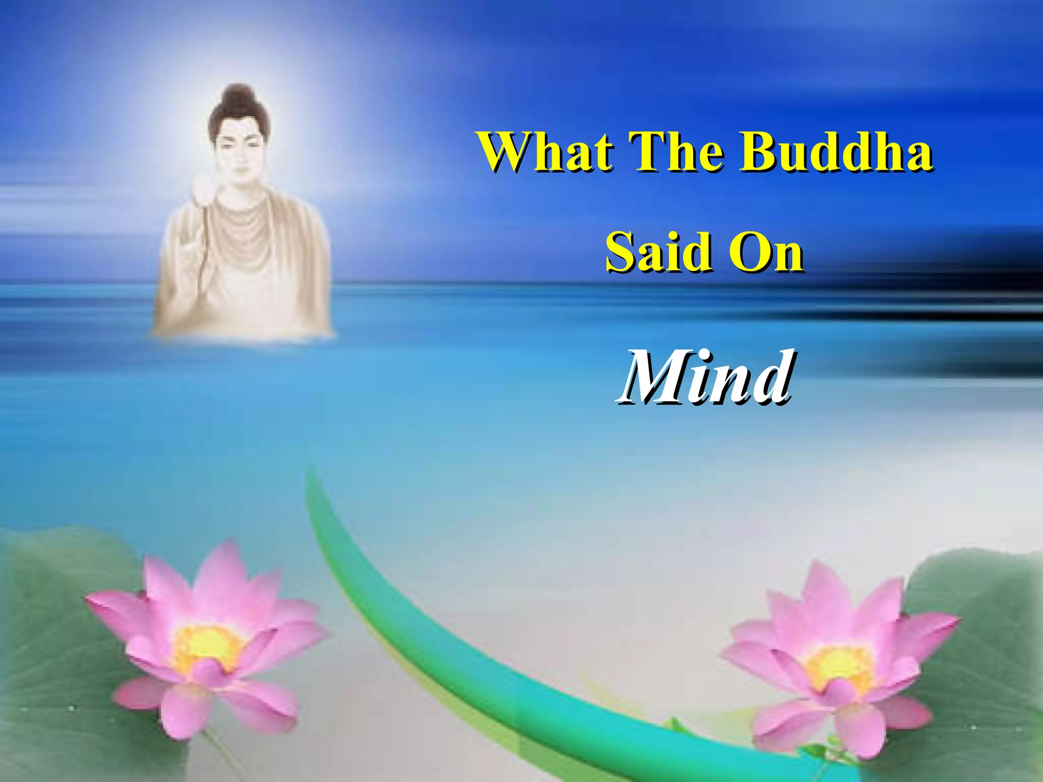 The Buddha On Mind | PPS