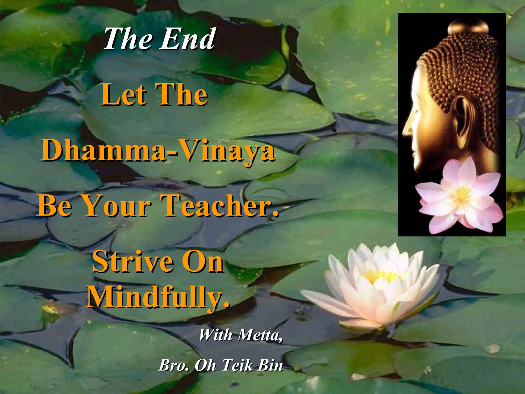 The Buddha On Mind | PPS
