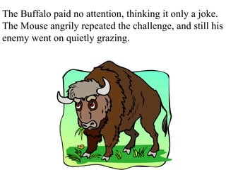 Jokes About Buffalo New York