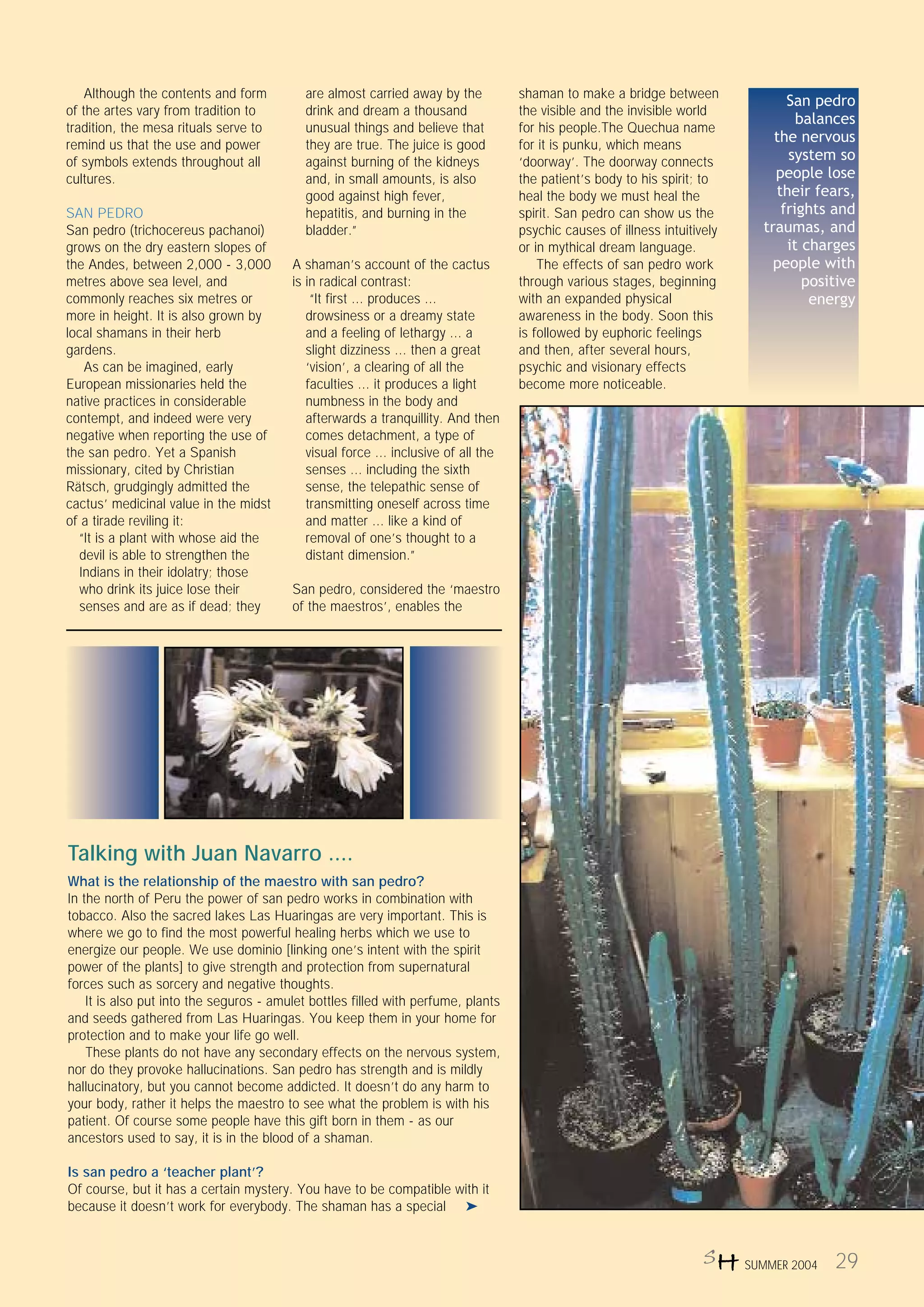 The Cactus of Vision - San Pedro | PDF