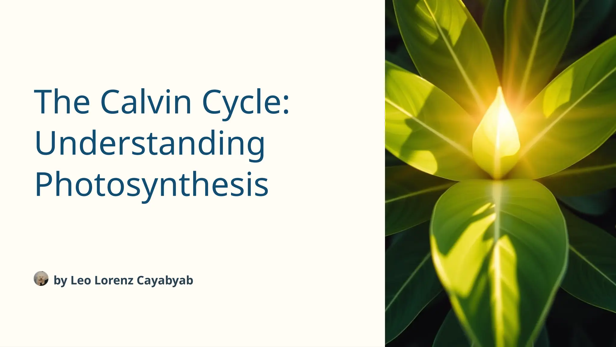 The-Calvin-Cycle-Understanding-Photosynthesis (1).pptx