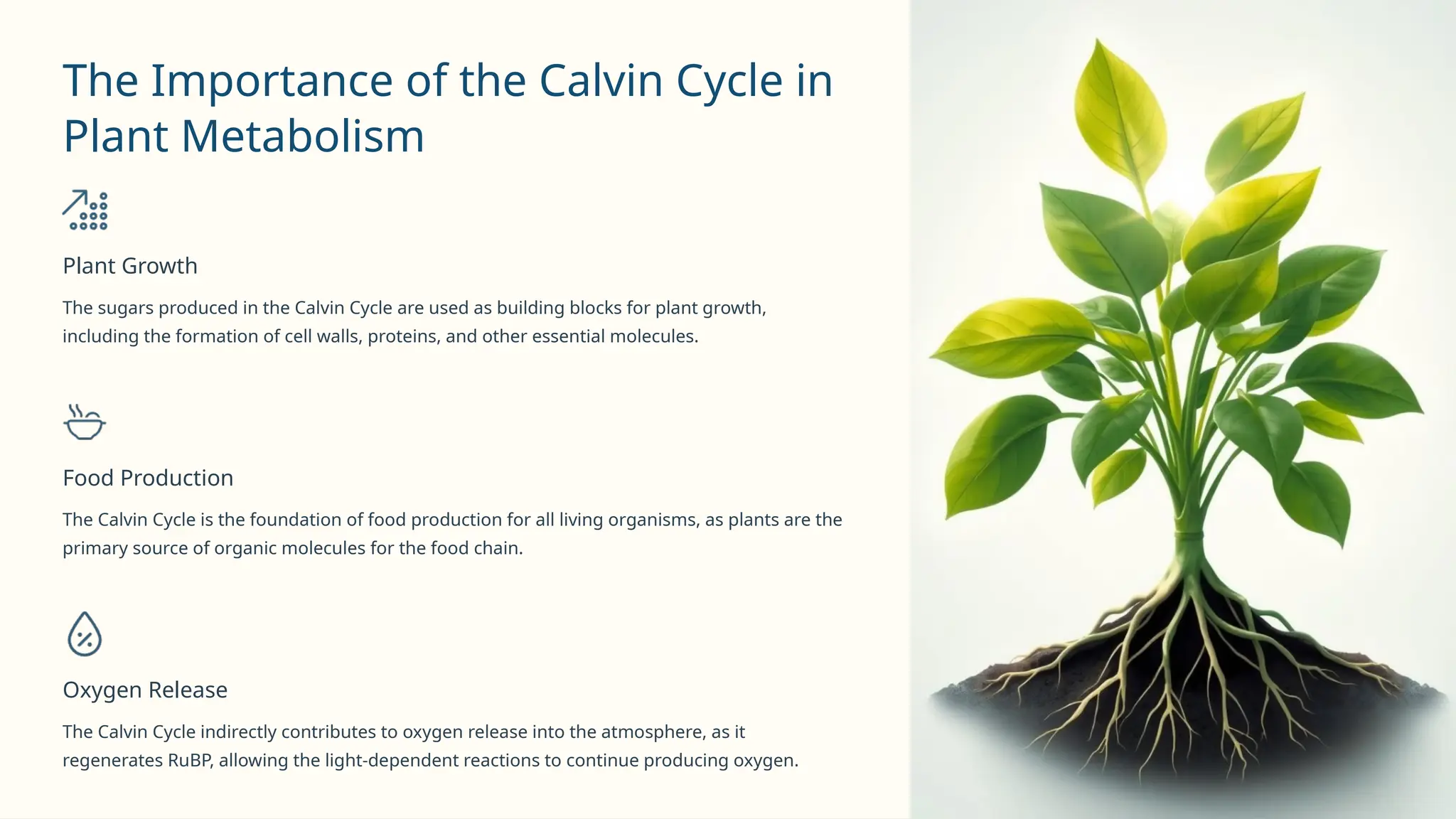 The-Calvin-Cycle-Understanding-Photosynthesis (1).pptx