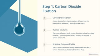 The-Calvin-Cycle-Understanding-Photosynthesis (1).pptx