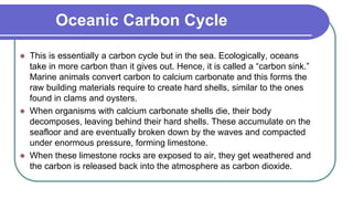 THE-CARBON-CYCLE.pptx