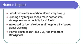 THE-CARBON-CYCLE.pptx