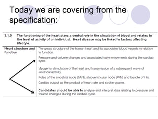 the-cardiac-cycle-1-powerpoint.ppt | Heart and Cardiovascular Diseases ...