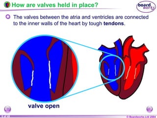 the-cardiac-cycle-1-powerpoint.ppt | Heart and Cardiovascular Diseases ...