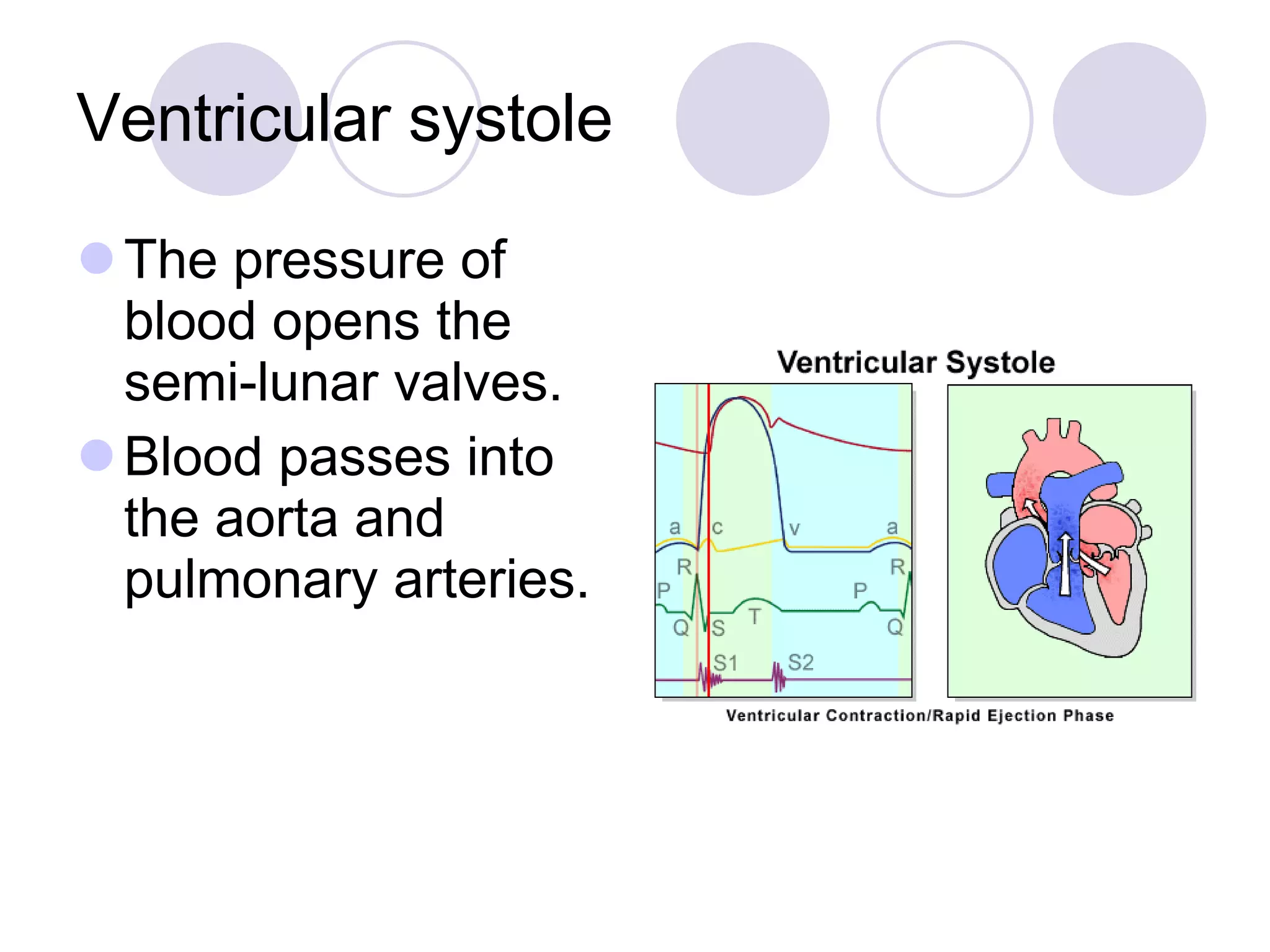 The Cardiac Cycle | PPT