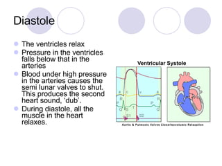 The Cardiac Cycle | PPT