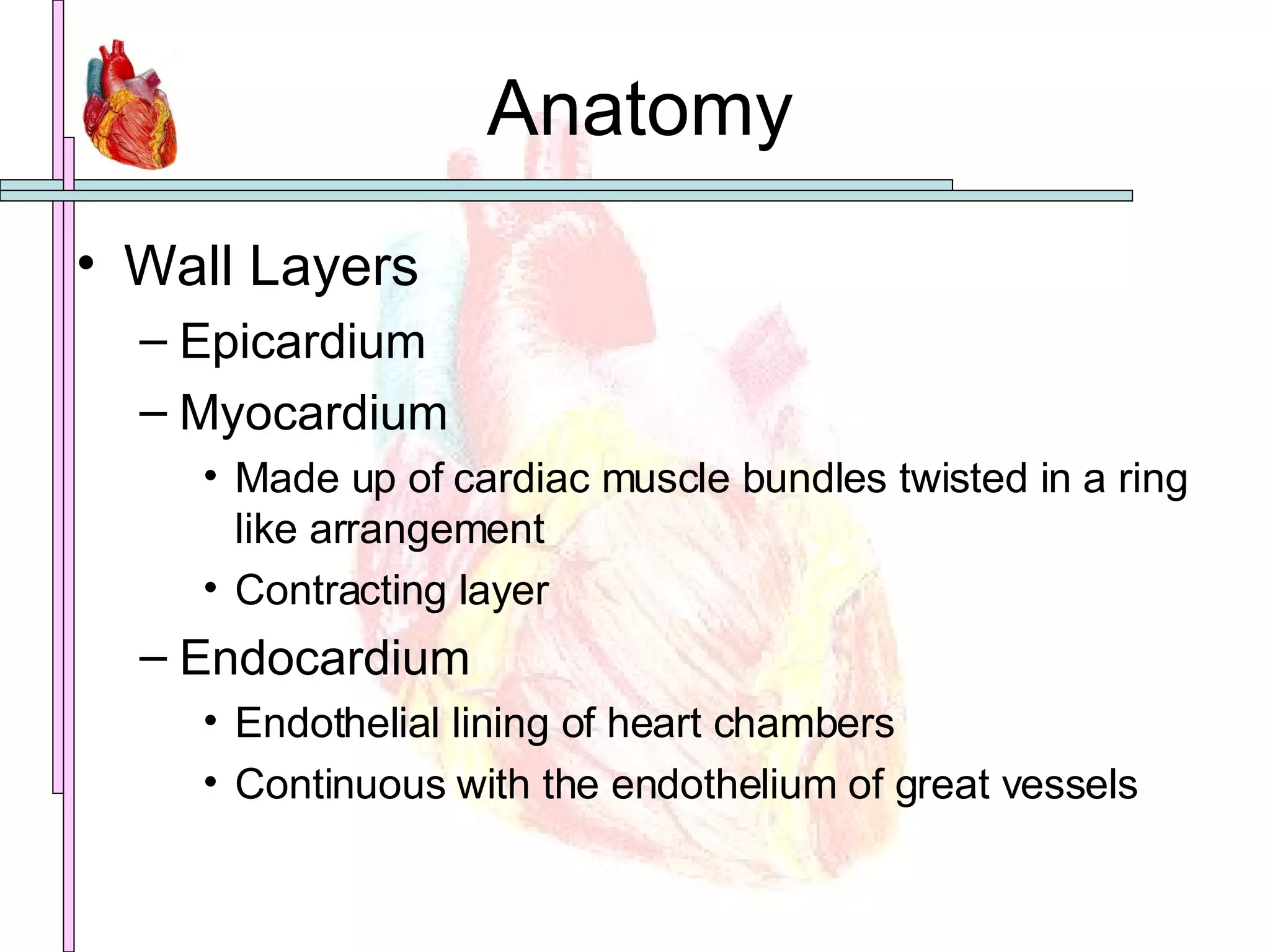 The Cardiovascular System | PPT
