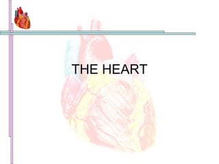 The Cardiovascular System | PPT