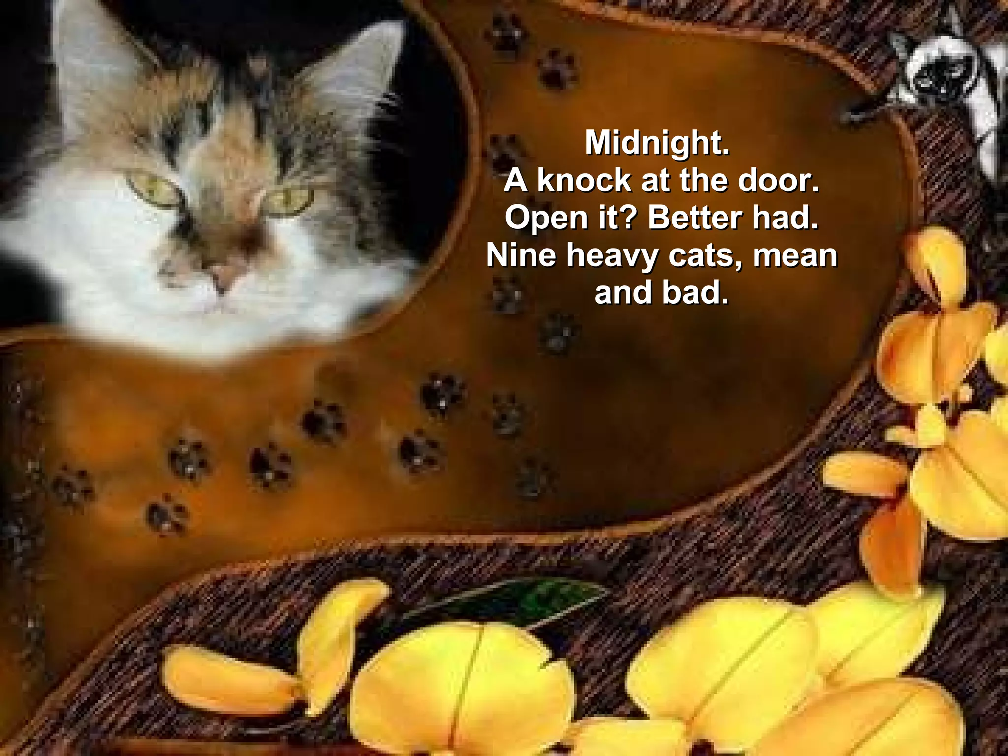 The Cats Protection League | PPS