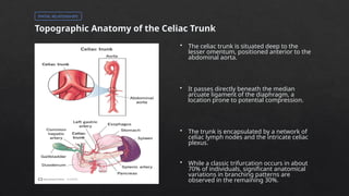 The-Celiac-Trunk-and-Gastrointestinal-Tract-Anatomy-and-Clinical ...