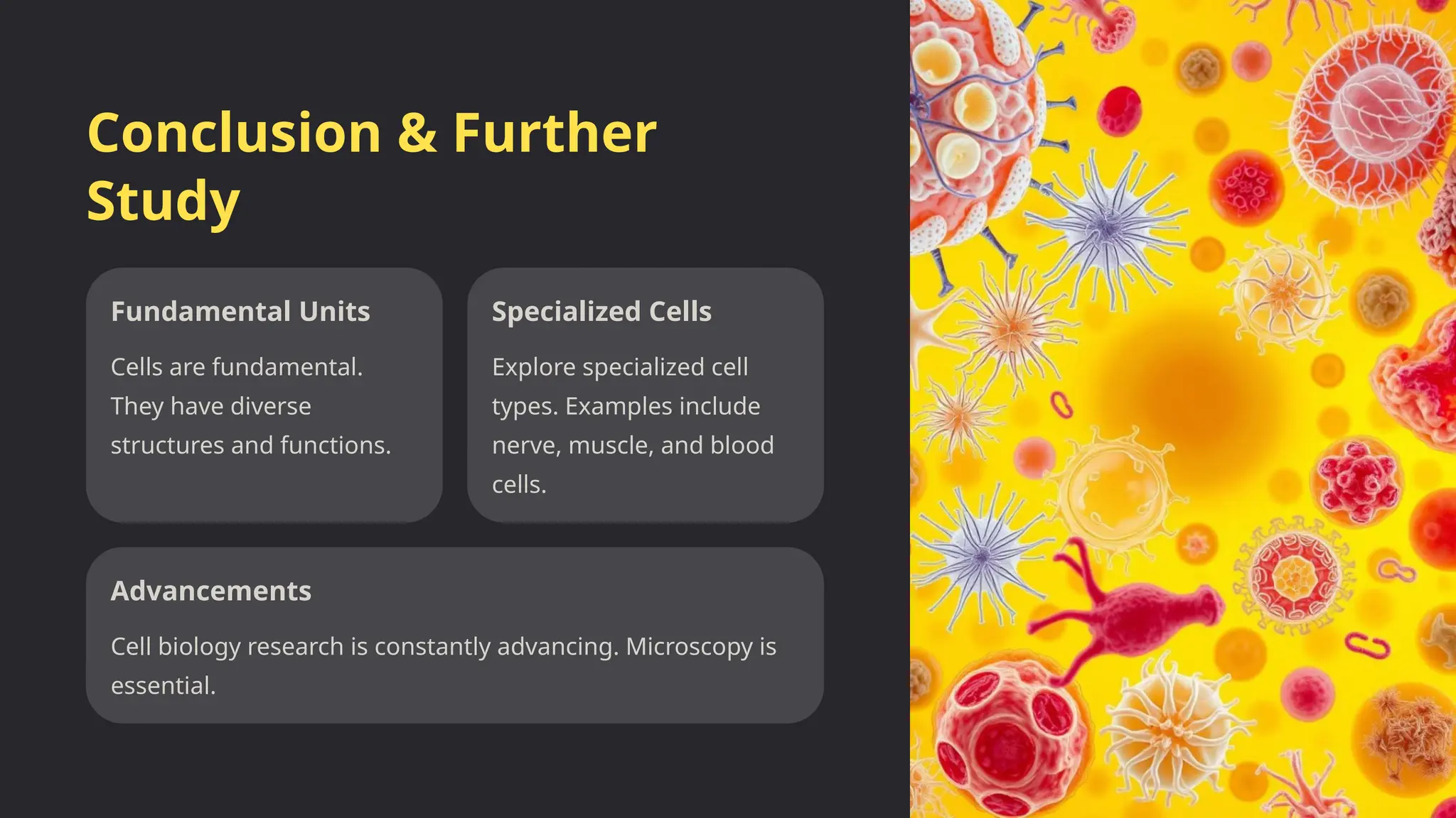 The-Cell-Basic-Unit-of-Life (1) anatomy and physiology | PPTX