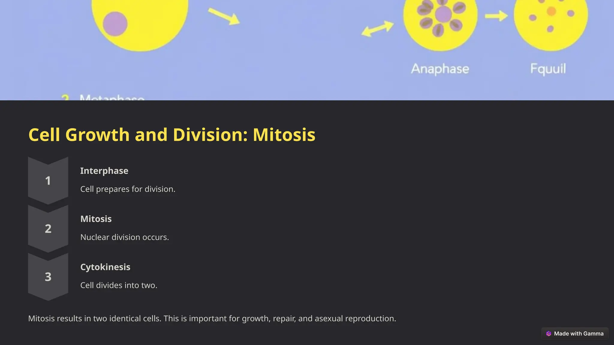 The-Cell-Basic-Unit-of-Life (1) anatomy and physiology | PPTX