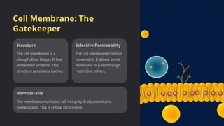 The-Cell-Basic-Unit-of-Life (1) anatomy and physiology | PPTX