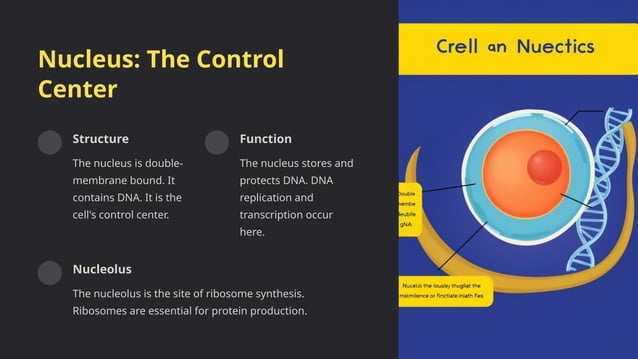 The-Cell-Basic-Unit-of-Life (1) anatomy and physiology | PPTX