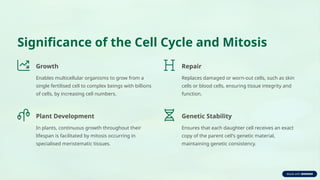 The-Cell-Cycle-and-Cell-Division-The-Life-of-a-Cell.pptx