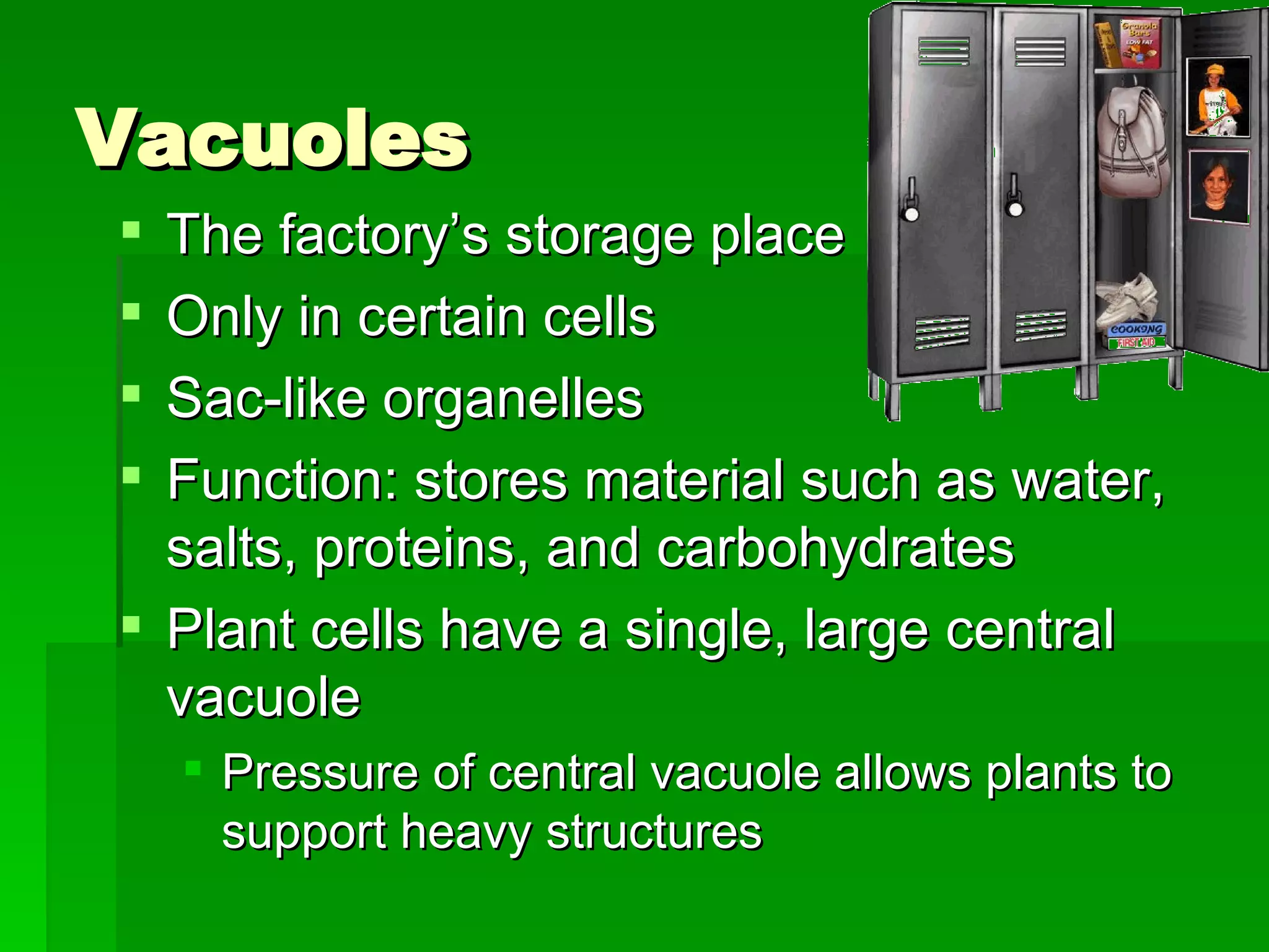 The Cell Factory | PPT