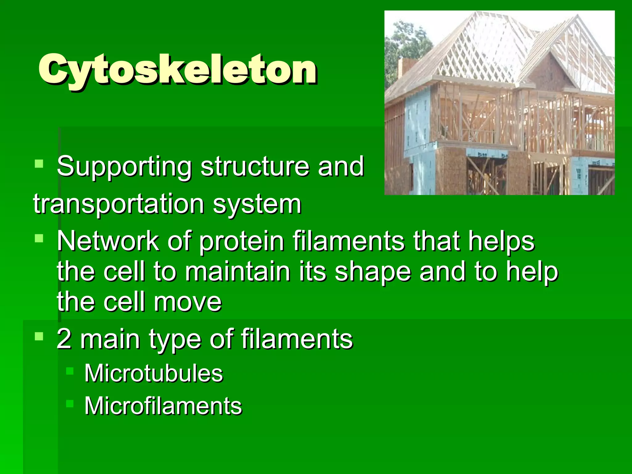 The Cell Factory | PPT