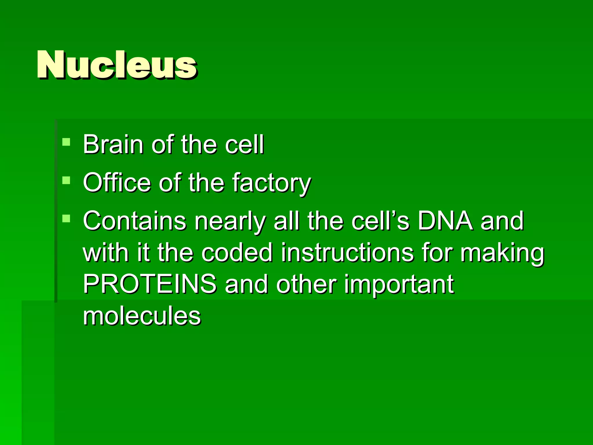 The Cell Factory | PPT