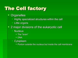 The Cell Factory | PPT