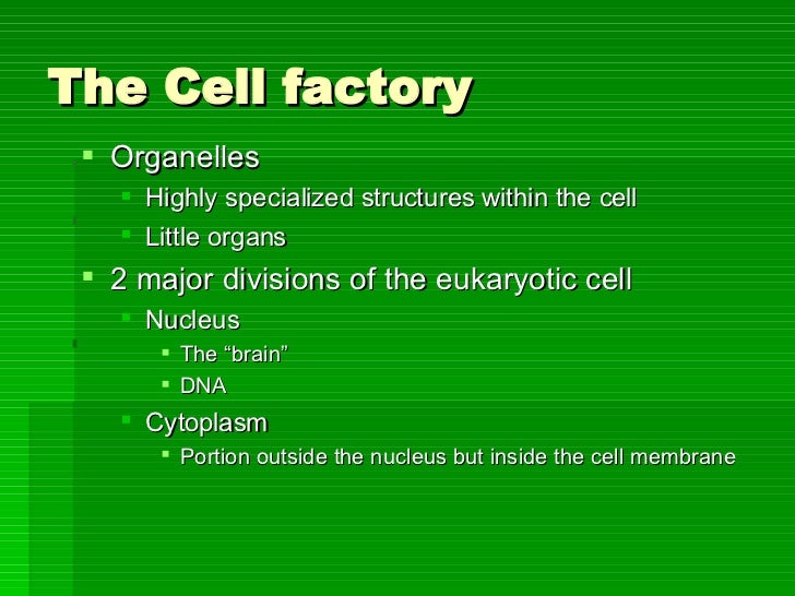 The Cell Factory