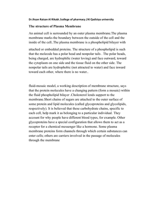 The Cell Structure & Function | PDF | Biological Sciences | Science