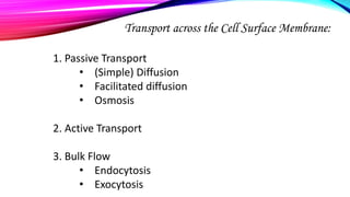 Cell Surface Membrane | PPT