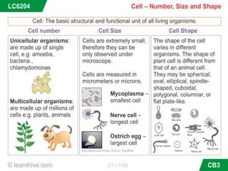 The cell-theory | PPT