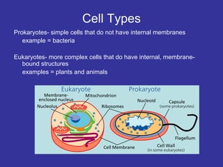 The cell-theory | PPT