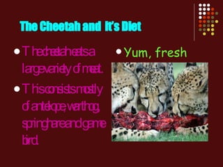 The Cheetah And The Ostrich | PPT | Zoos & Aquariums | Attractions