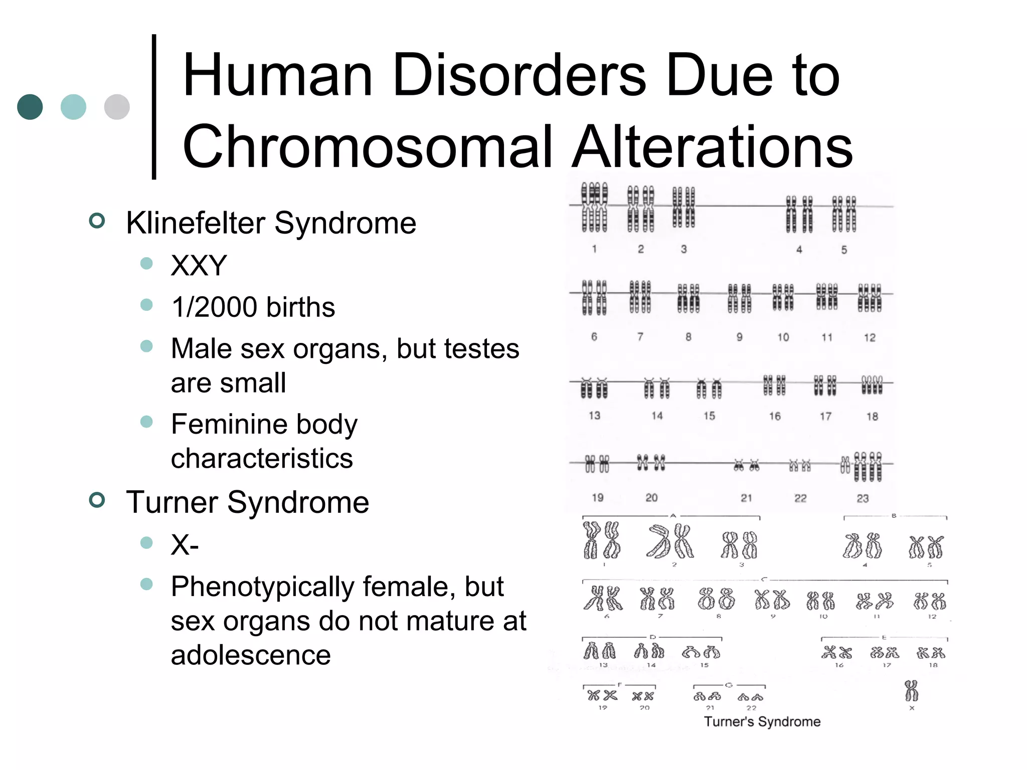 The Chromosomal Basis Of Inheritance Ppt Genetics Science
