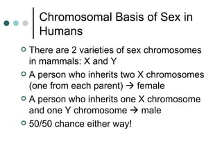 The Chromosomal Basis Of Inheritance | PPT
