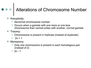 The Chromosomal Basis Of Inheritance | PPT